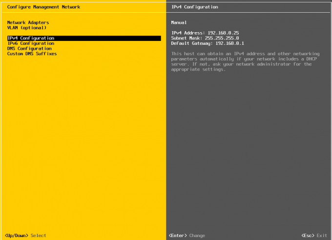 How to manage VLANs and virtual switches on ESXi/vSphere