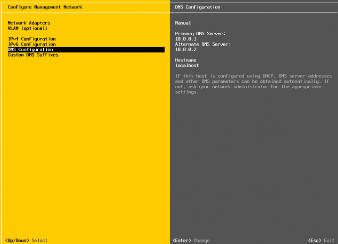 How to manage VLANs and virtual switches on ESXi/vSphere