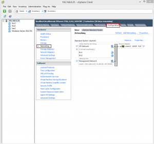 How to manage VLANs and virtual switches on ESXi/vSphere