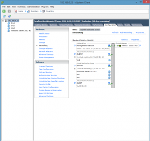 How to manage VLANs and virtual switches on ESXi/vSphere